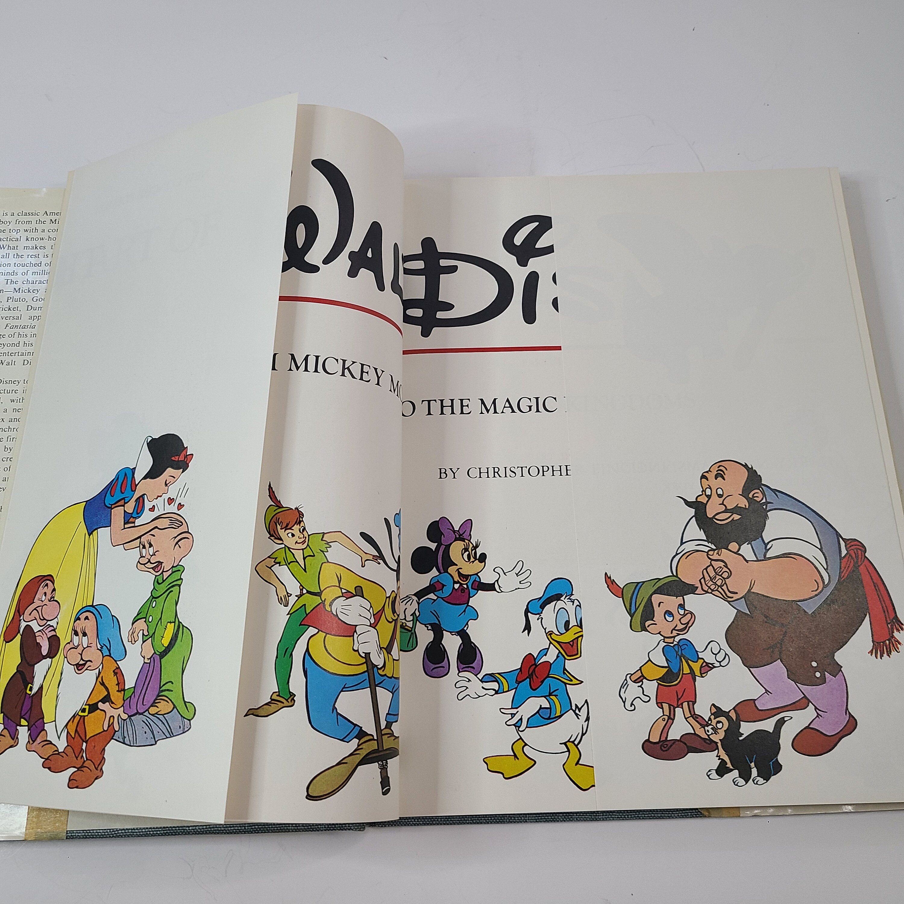 Vintage the Art of Walt Disney From Mickey Mouse to the Magic Kingdoms ...