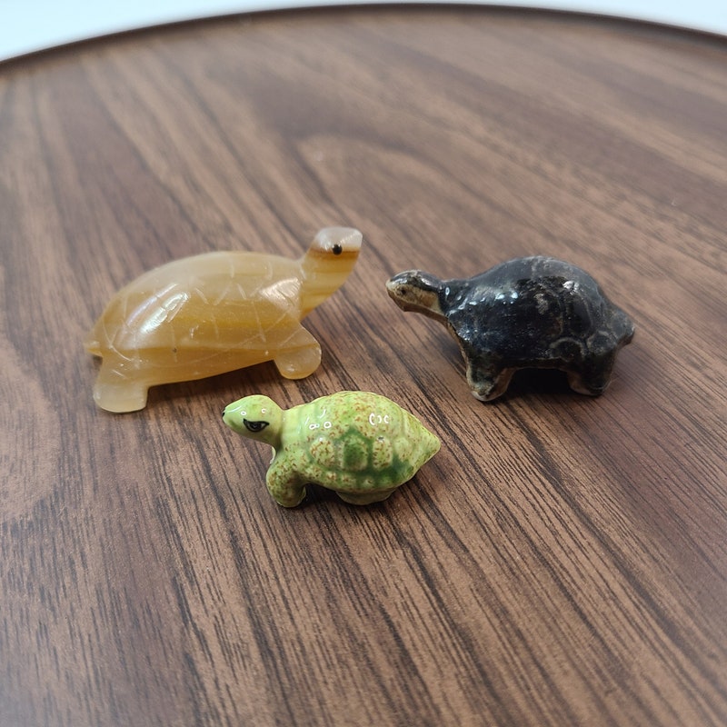 Miniature Turtles - Etsy