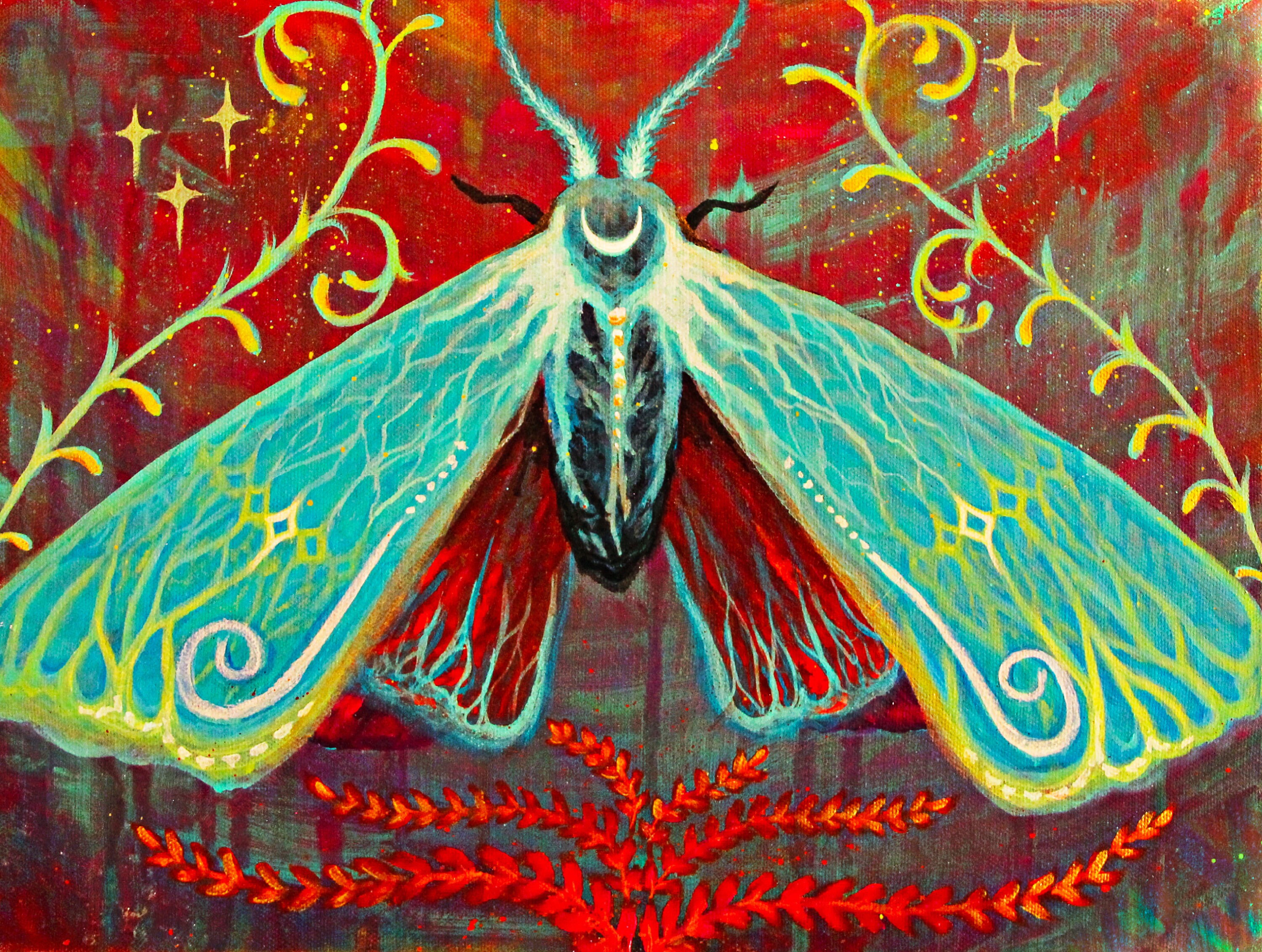 Moon Moth Art Print / Butterfly Art / Moth Art / 5x7 8x10 - Etsy