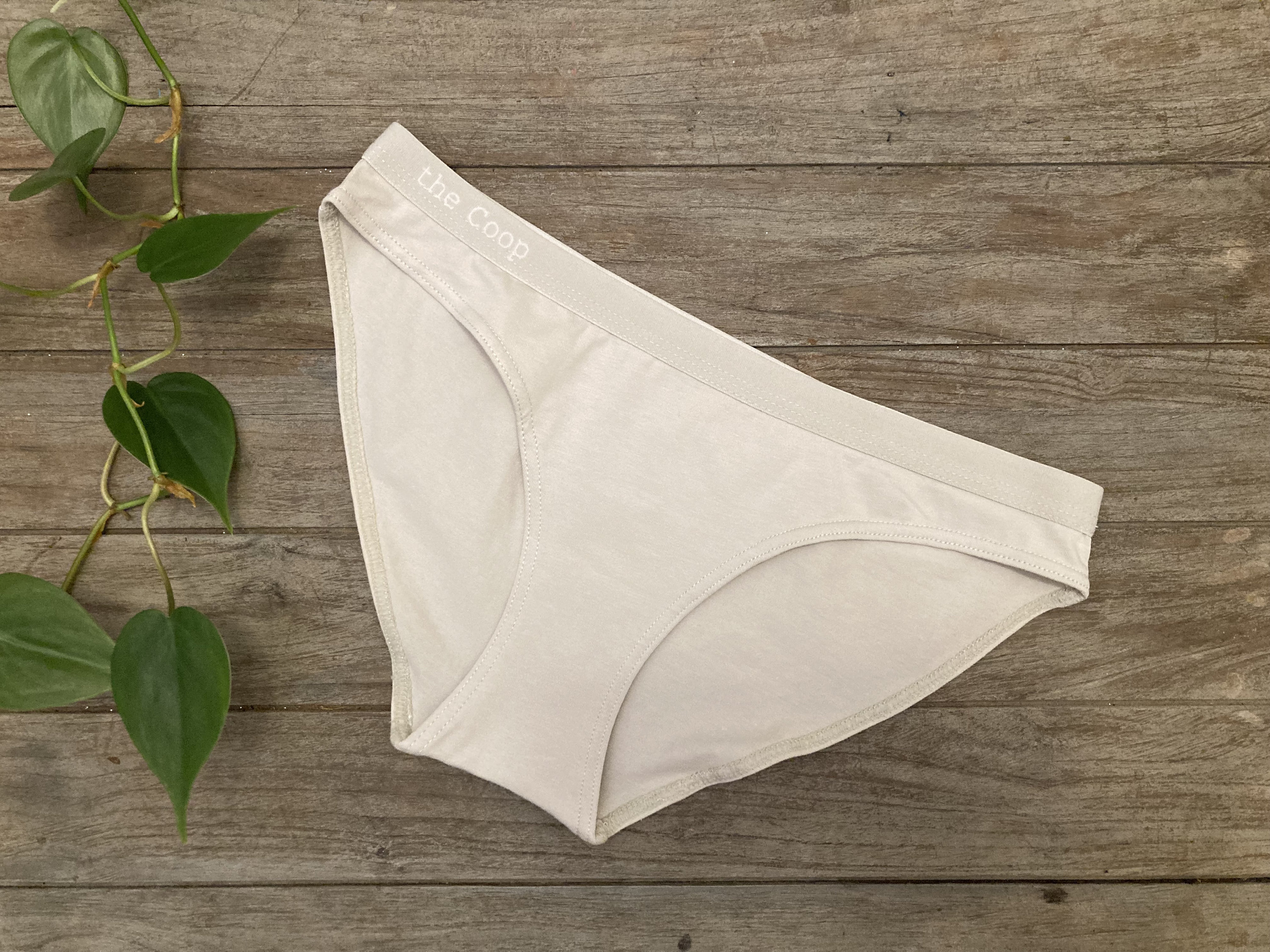 What Is Underwear Gusset At Mark Bevill Blog