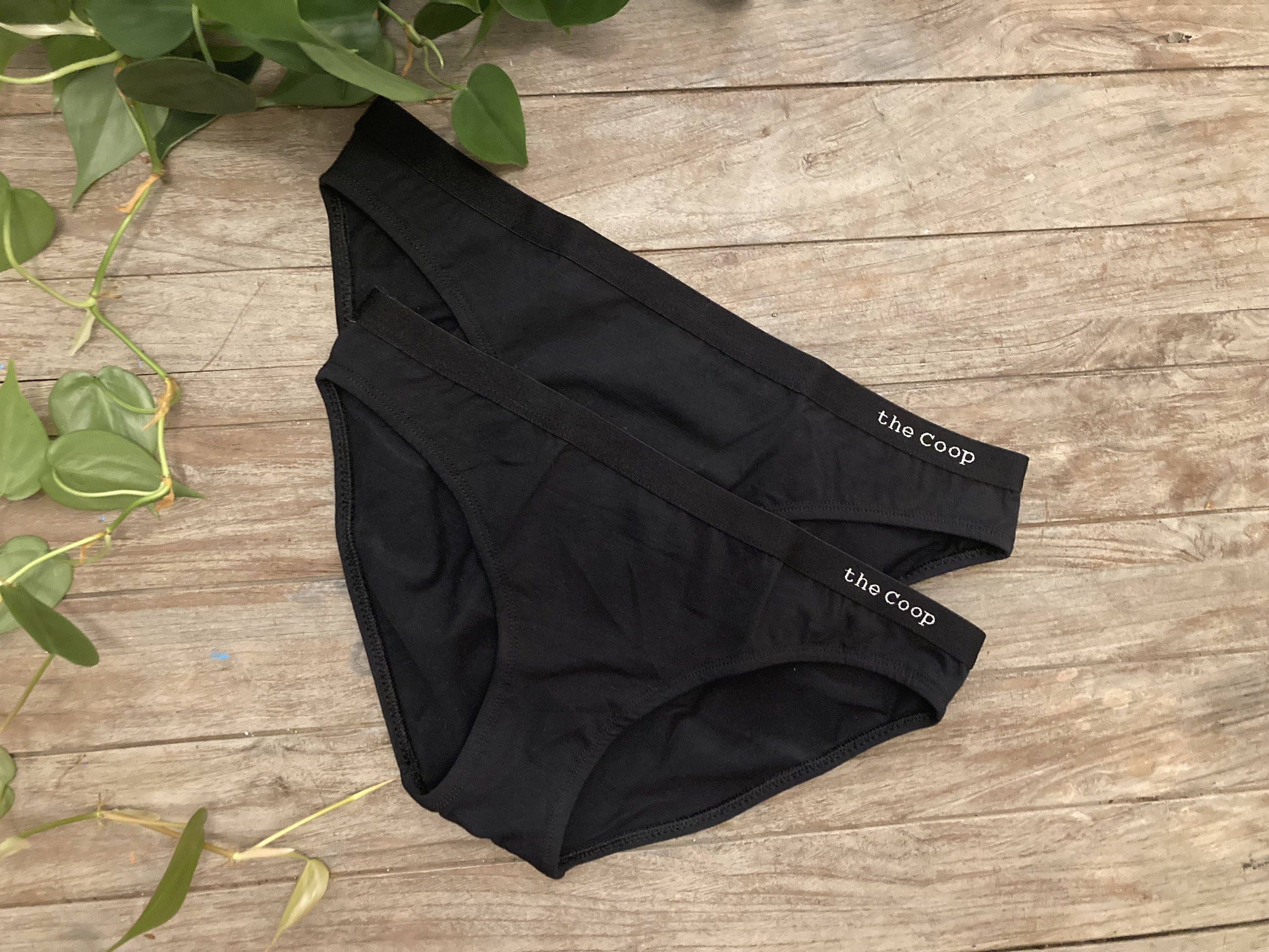 Cotton Underwear Longer Gusset Bikini Style 2 Pack Comfortable ...