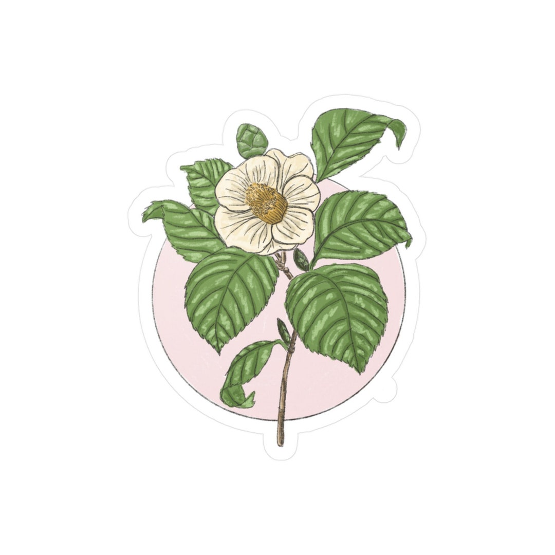 Floral Sticker for Car Hand Drawn Flower Sticker for Laptop Waterbottle ...