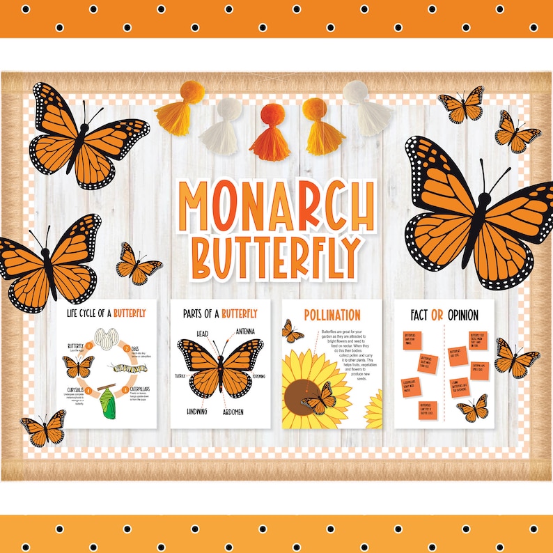 Butterfly Life Cycle Bulletin Board Kit. Monarch Butterfly - Etsy UK