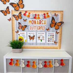 Butterfly Life Cycle Bulletin Board Kit. Monarch Butterfly Experiment ...