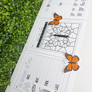 Butterfly Life Cycle Bulletin Board Kit. Monarch Butterfly Experiment ...