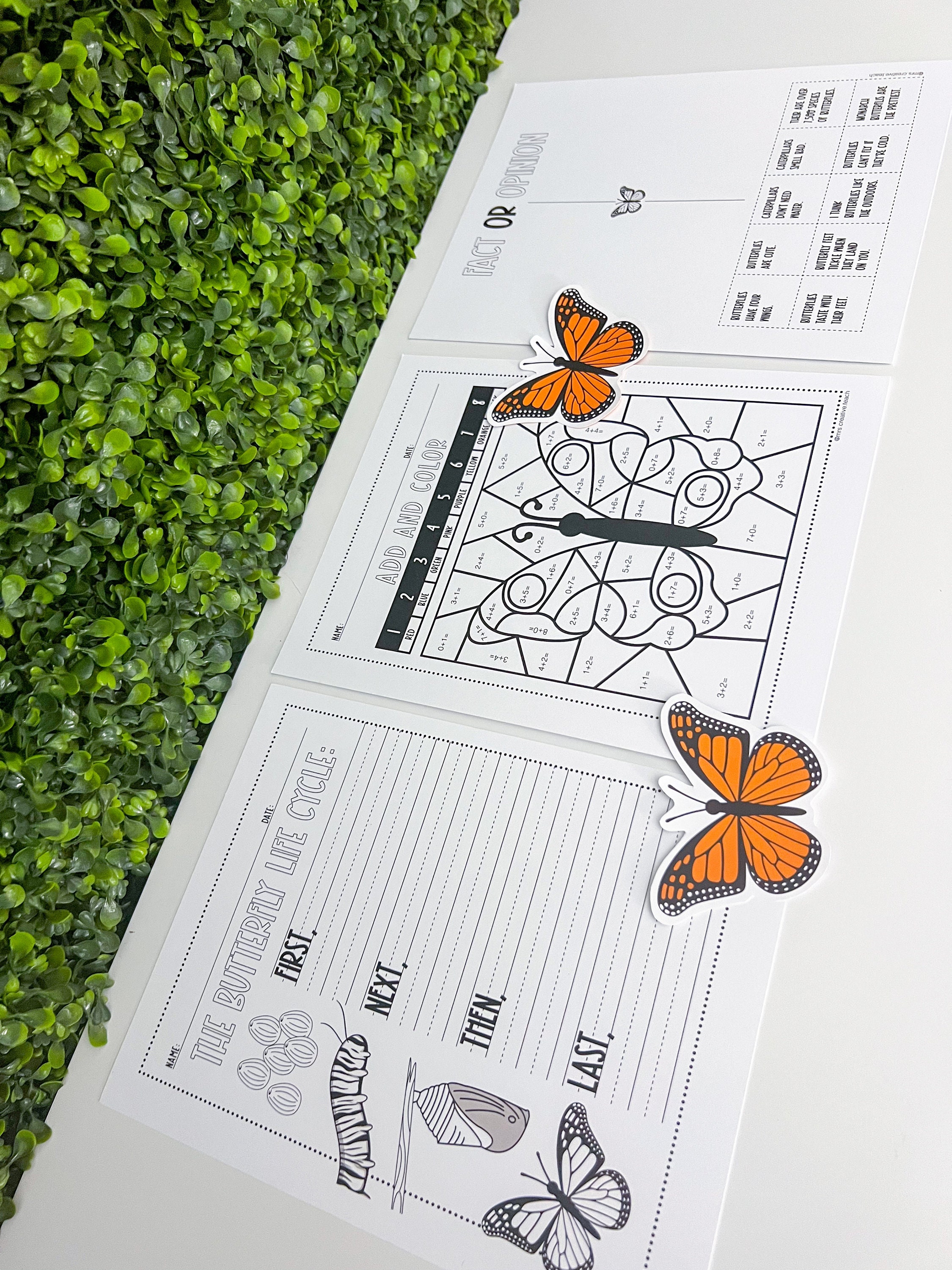 Butterfly Life Cycle Bulletin Board Kit. Monarch Butterfly - Etsy Denmark