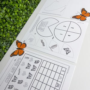 Butterfly Life Cycle Bulletin Board Kit. Monarch Butterfly Experiment ...