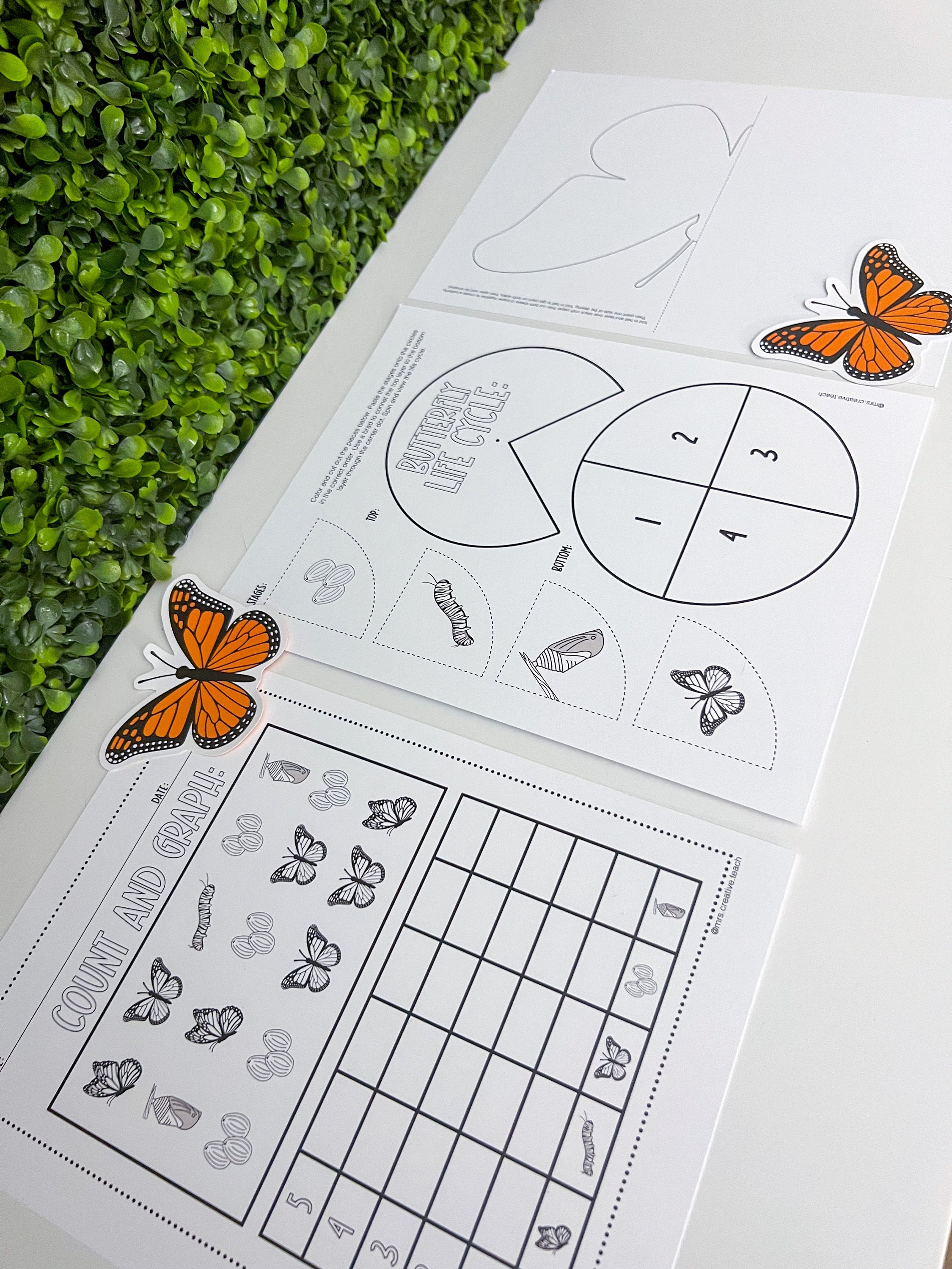 Butterfly Life Cycle Bulletin Board Kit. Monarch Butterfly - Etsy Denmark