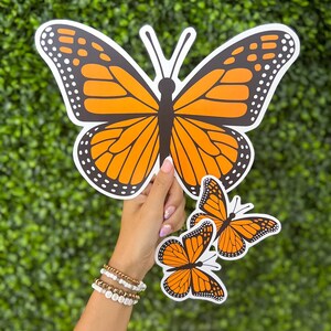 Butterfly Life Cycle Bulletin Board Kit. Monarch Butterfly Experiment ...