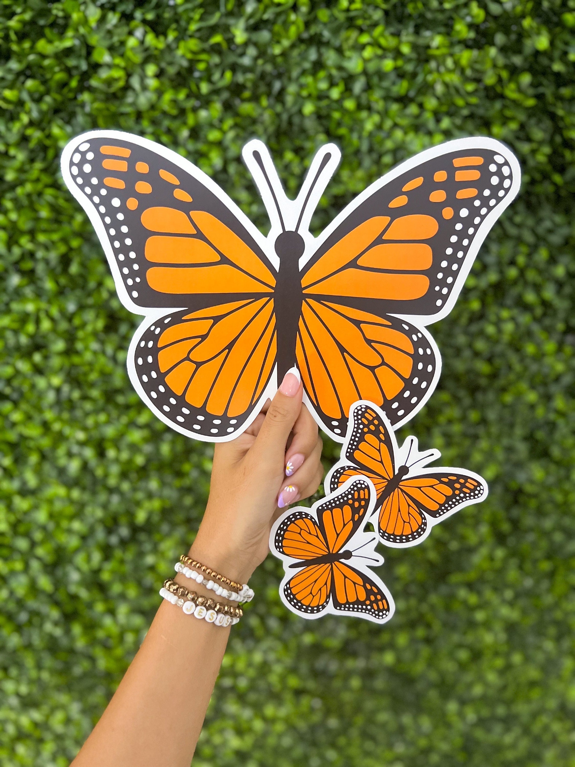 Monarch Butterfly Bulletin Board Border