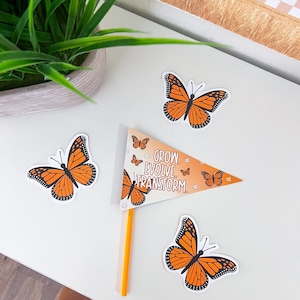 Butterfly Life Cycle Bulletin Board Kit. Monarch Butterfly Experiment ...
