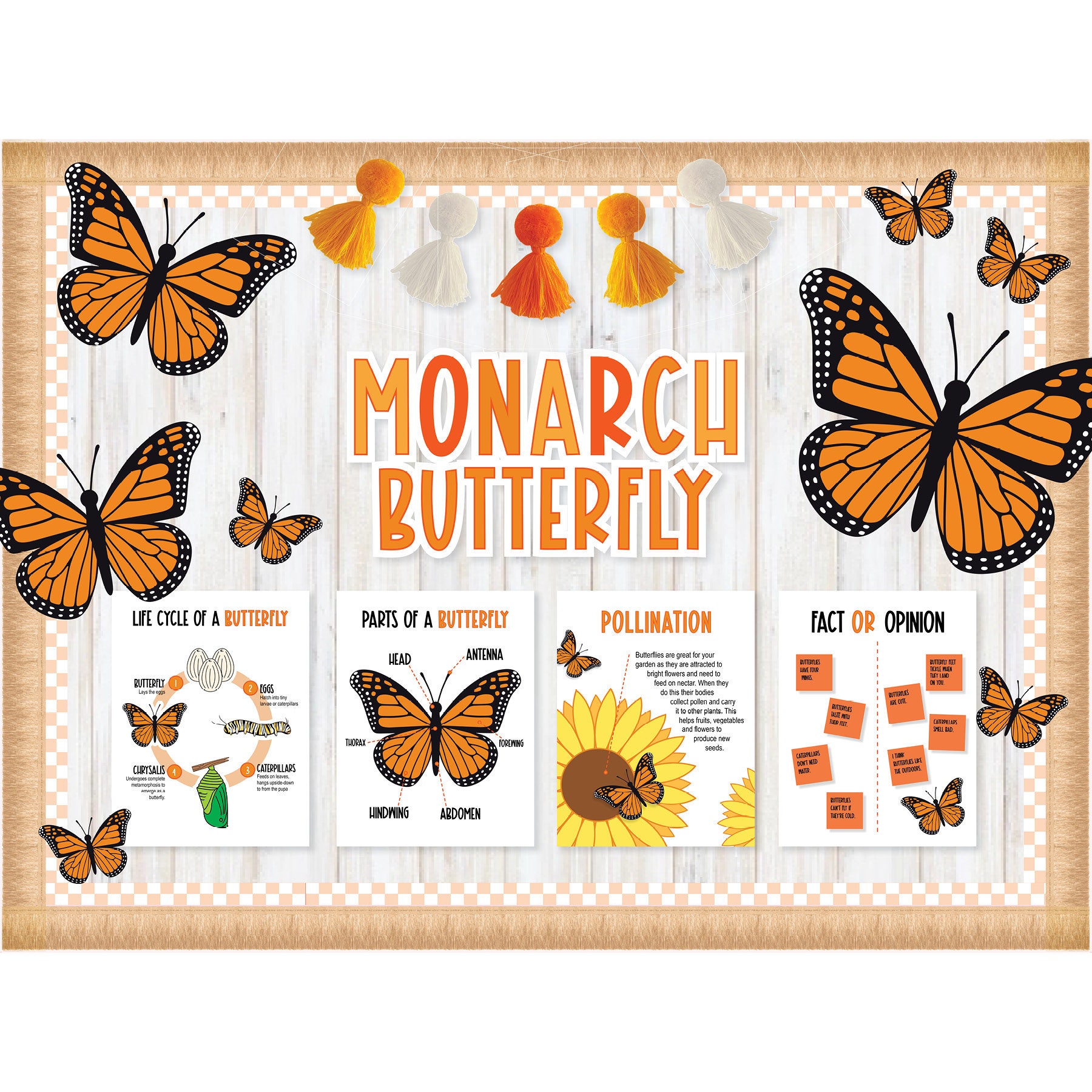 Monarch Butterfly Bulletin Board Border