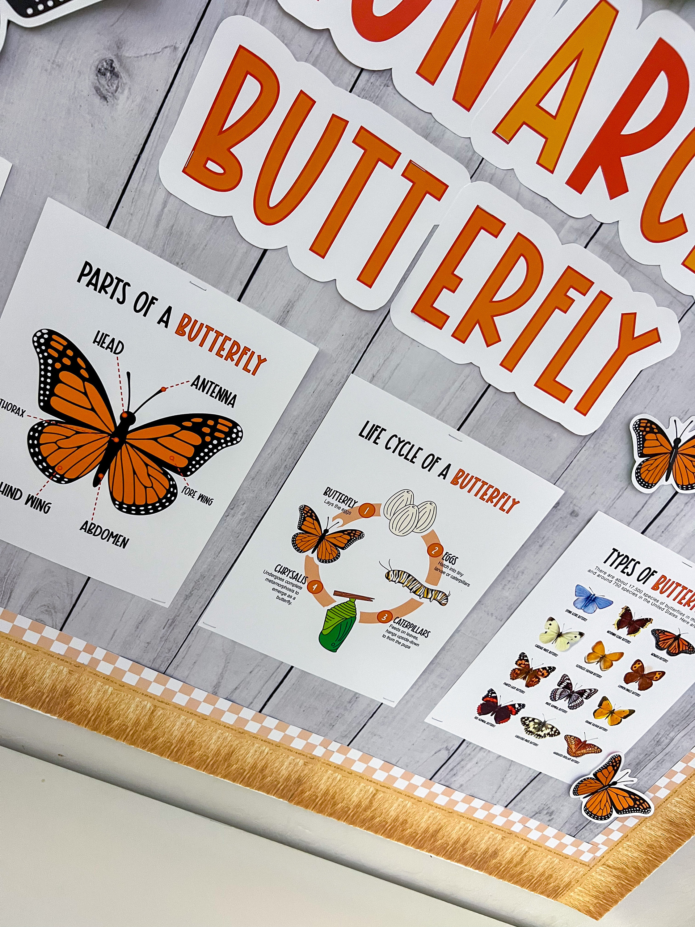 Monarch Butterfly Bulletin Board Border