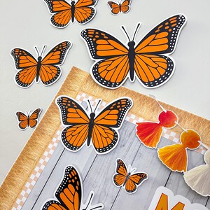 Butterfly Life Cycle Bulletin Board Kit. Monarch Butterfly Experiment ...