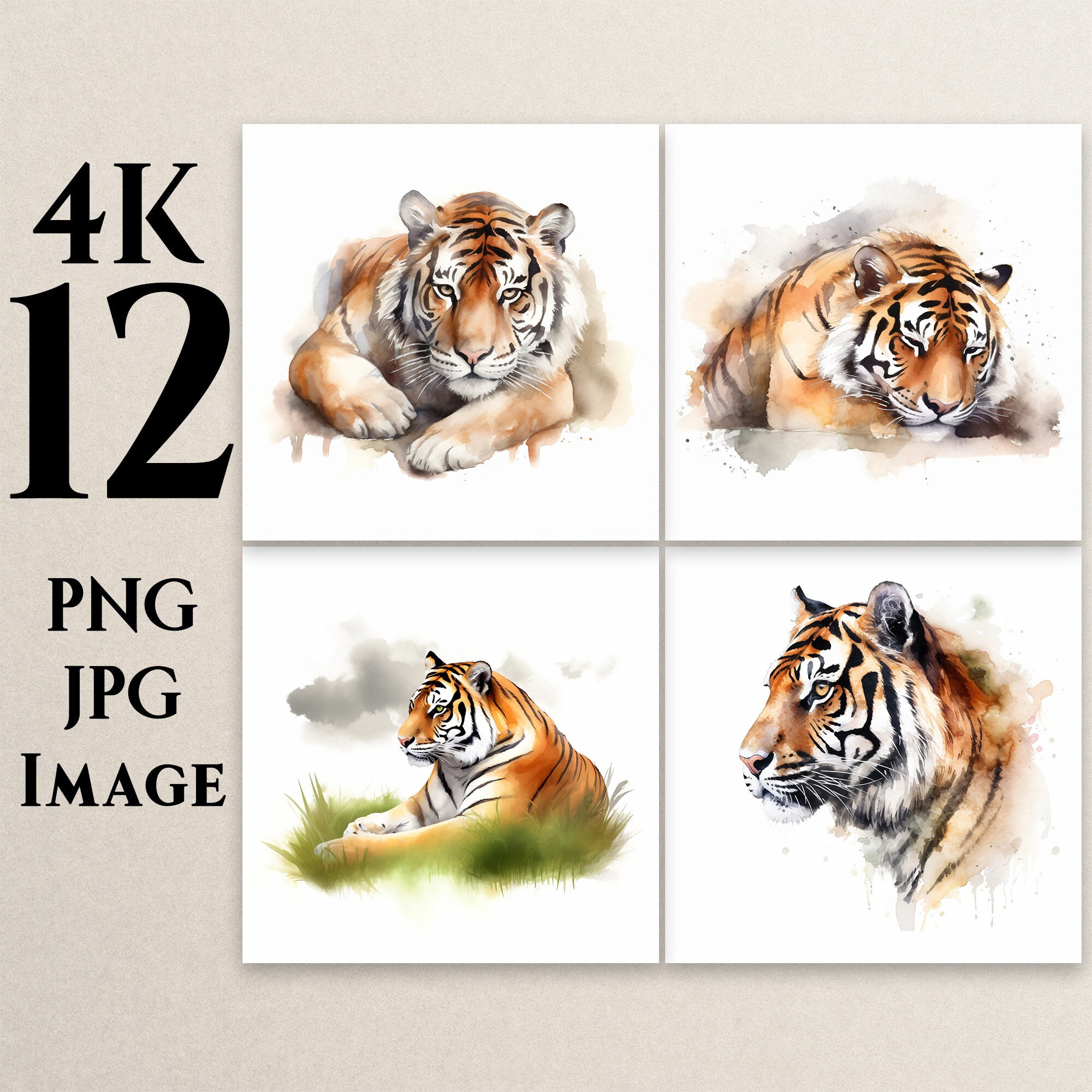 4K 12 Tiger Clipart, PNG, JPG, Watercolor Tiger Clipart, Tiger Illustrations, Drawing, Animal ...