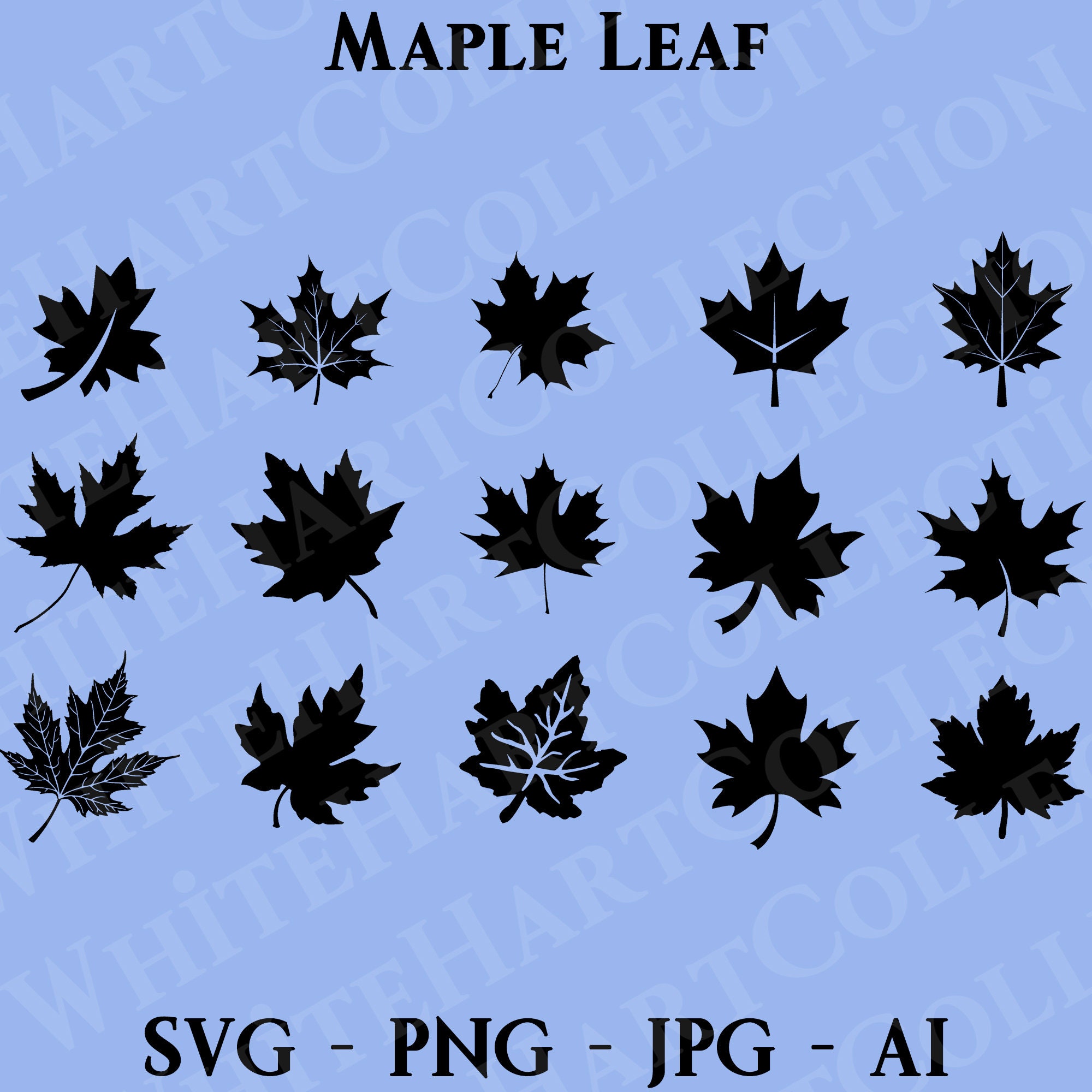 15 Maple Leaf Svg Bundle Commercial Use Svg, Png, Jpg, Ai, Leaves Svg ...