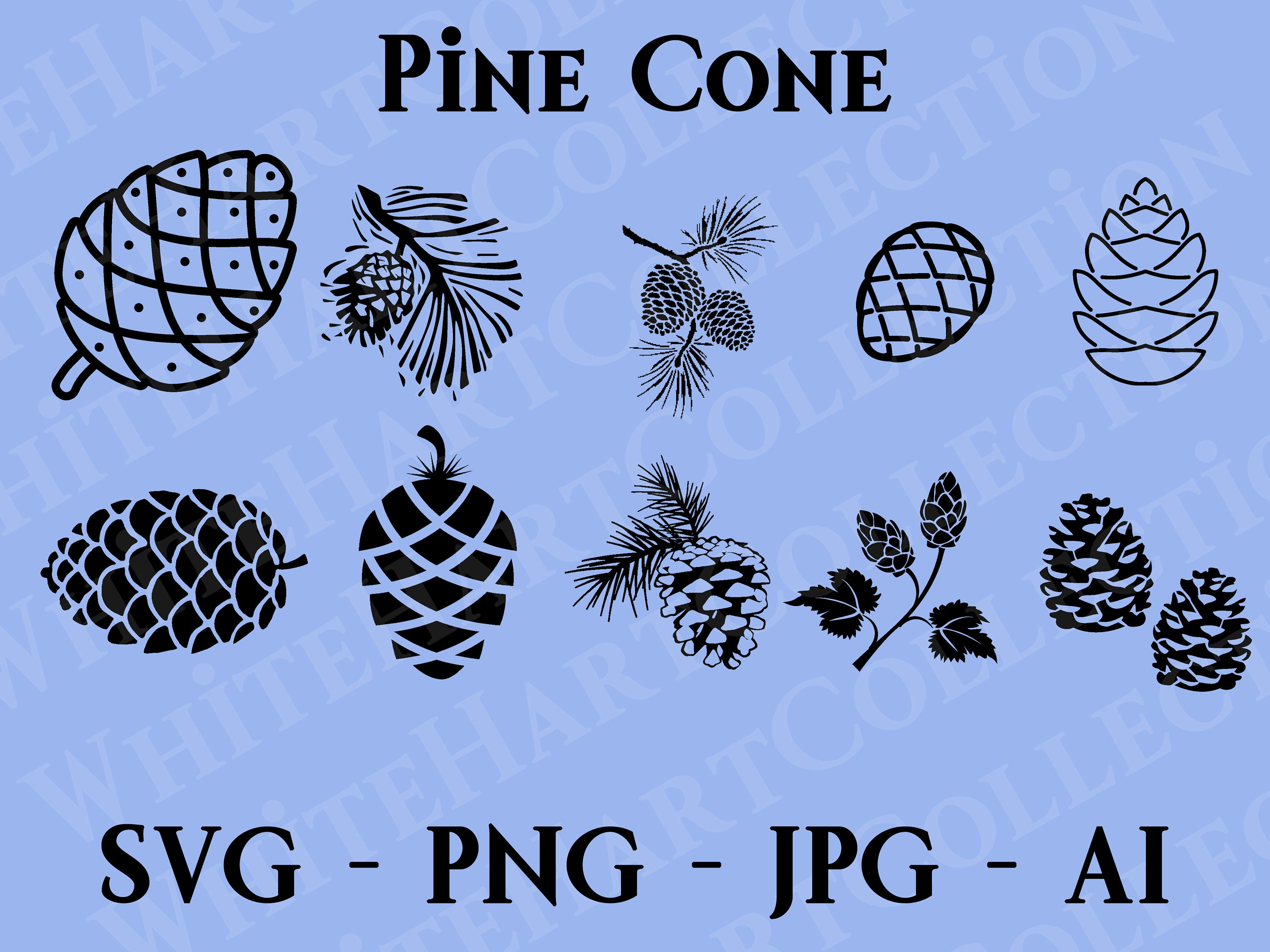 Pine Cone Vector Art
