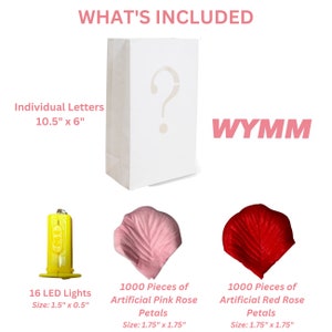 Luminary Paper Bags Wedding Proposal Decorations will You Marry Me ...