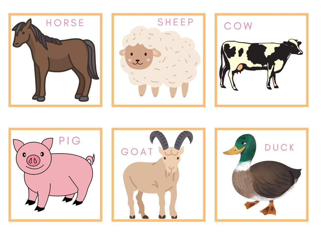 Learning Farm Animals PDF Homeschooling Flashcards Toys Printable - Etsy