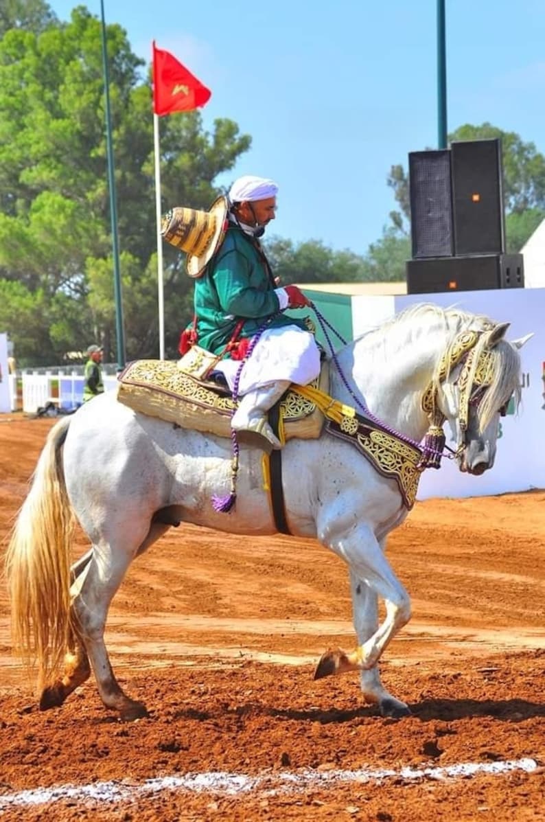 Moroccan Traditional Saddle Horse Saddle Handmade Saddle, Selle De ...