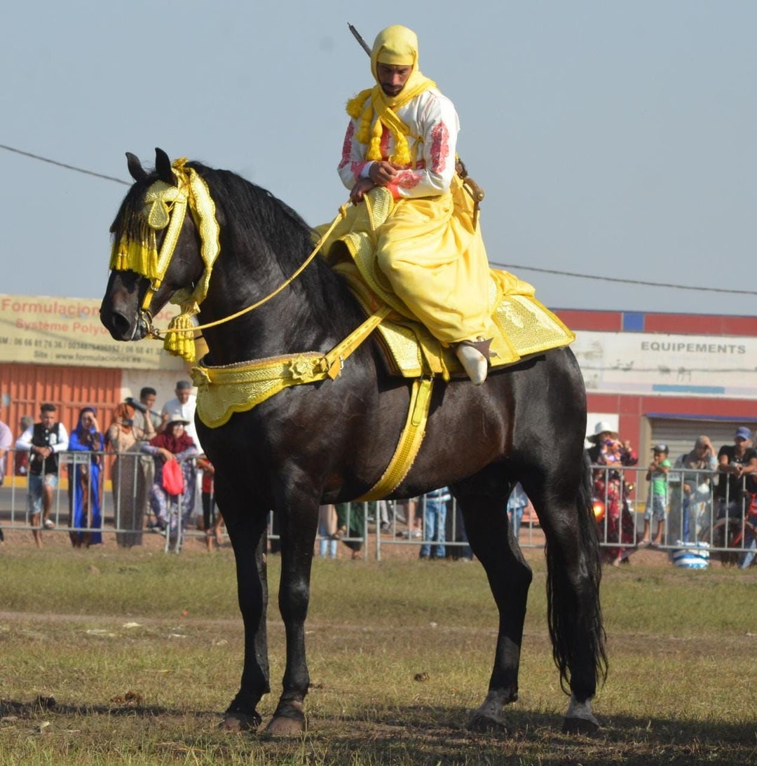 Saddle, Moroccan Traditional Saddle Horse Saddle Handmade Saddle ...