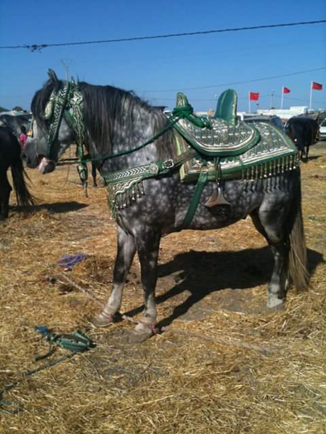 Moroccan Traditional Saddle Horse Saddle Handmade Saddle, Selle Du ...