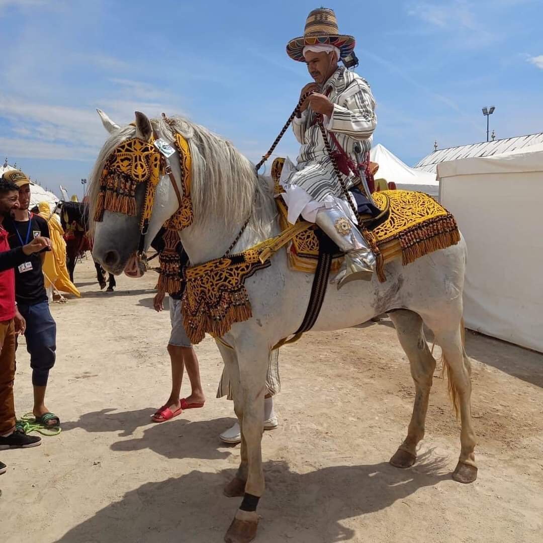 Moroccan Traditional Saddle Horse Saddle Handmade Saddle, Selle De ...