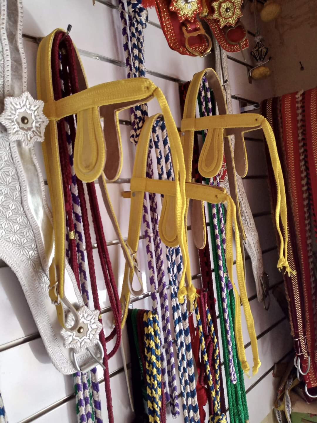 Horse Bridle, Moroccan Handmade Bridle, Traditional Horse Bridle ...