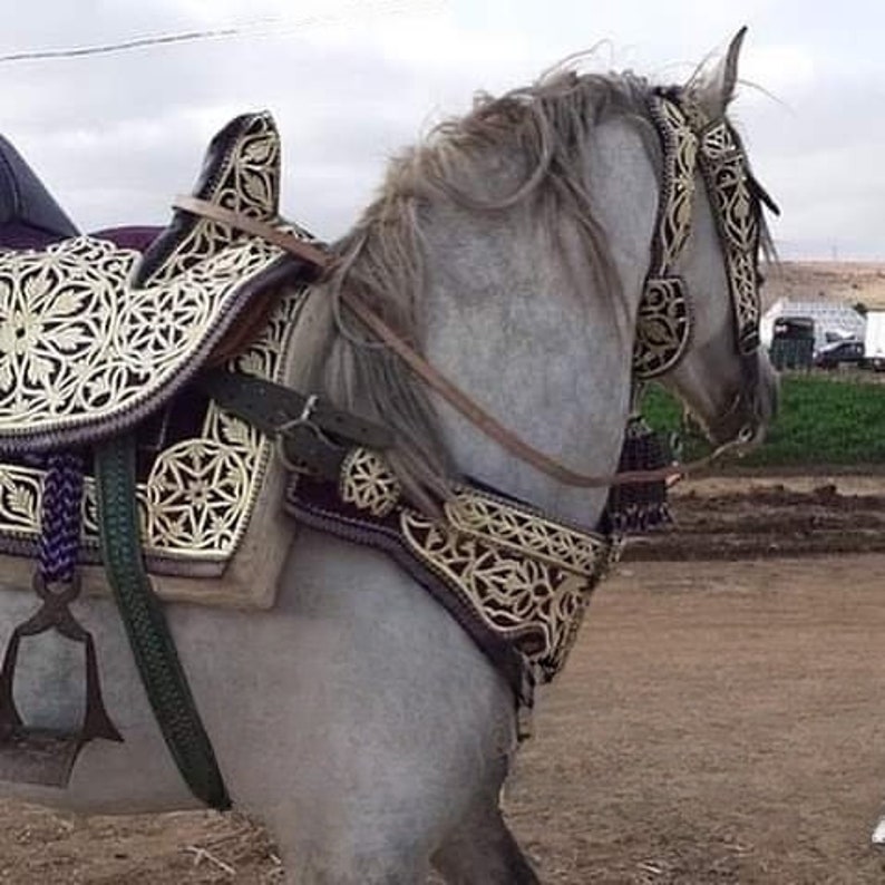 Moroccan Traditional Saddle Horse Saddle Handmade Saddle, Selle De ...