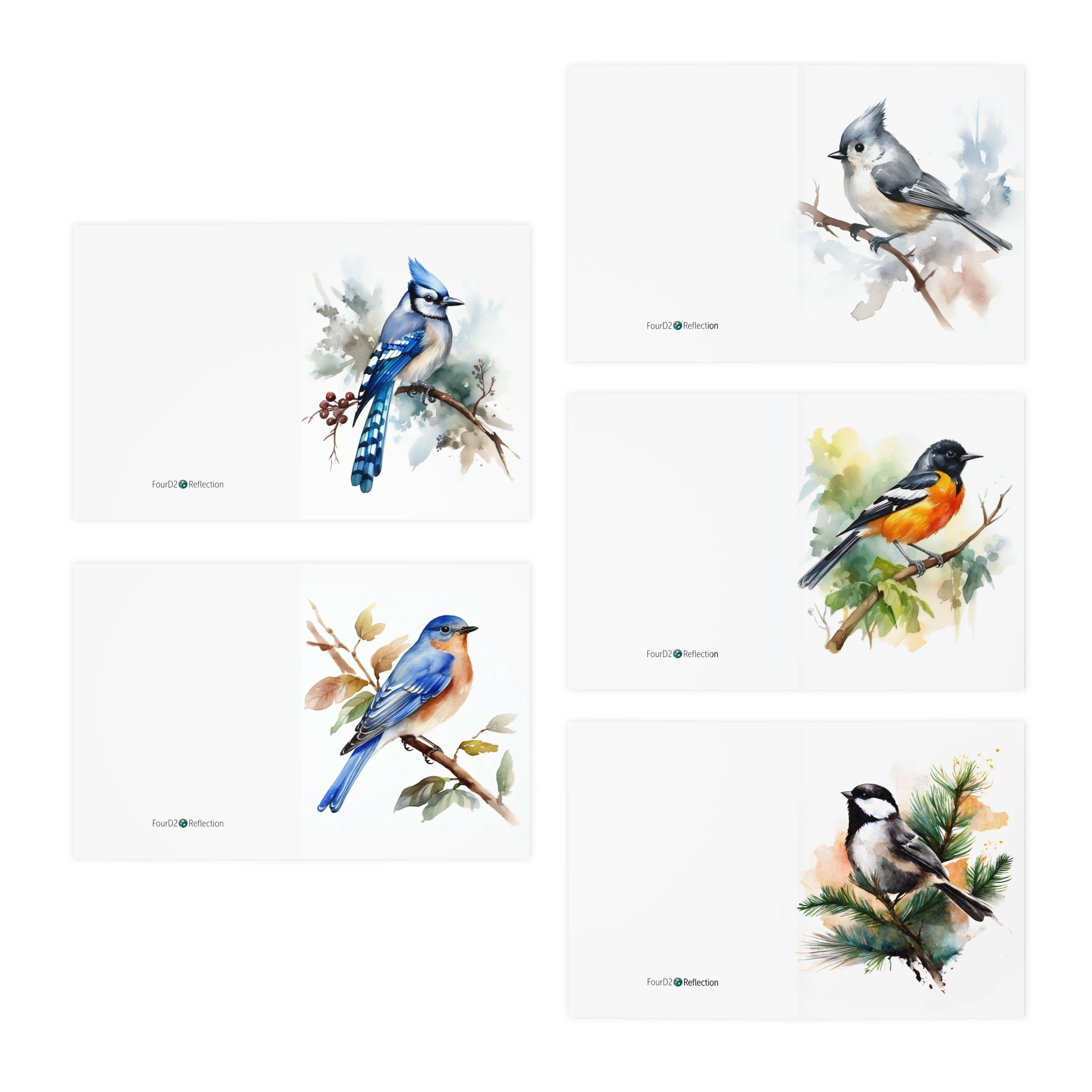 Watercolor Northeastern Birds Greeting Cards 5-pack, Backyard Birds ...