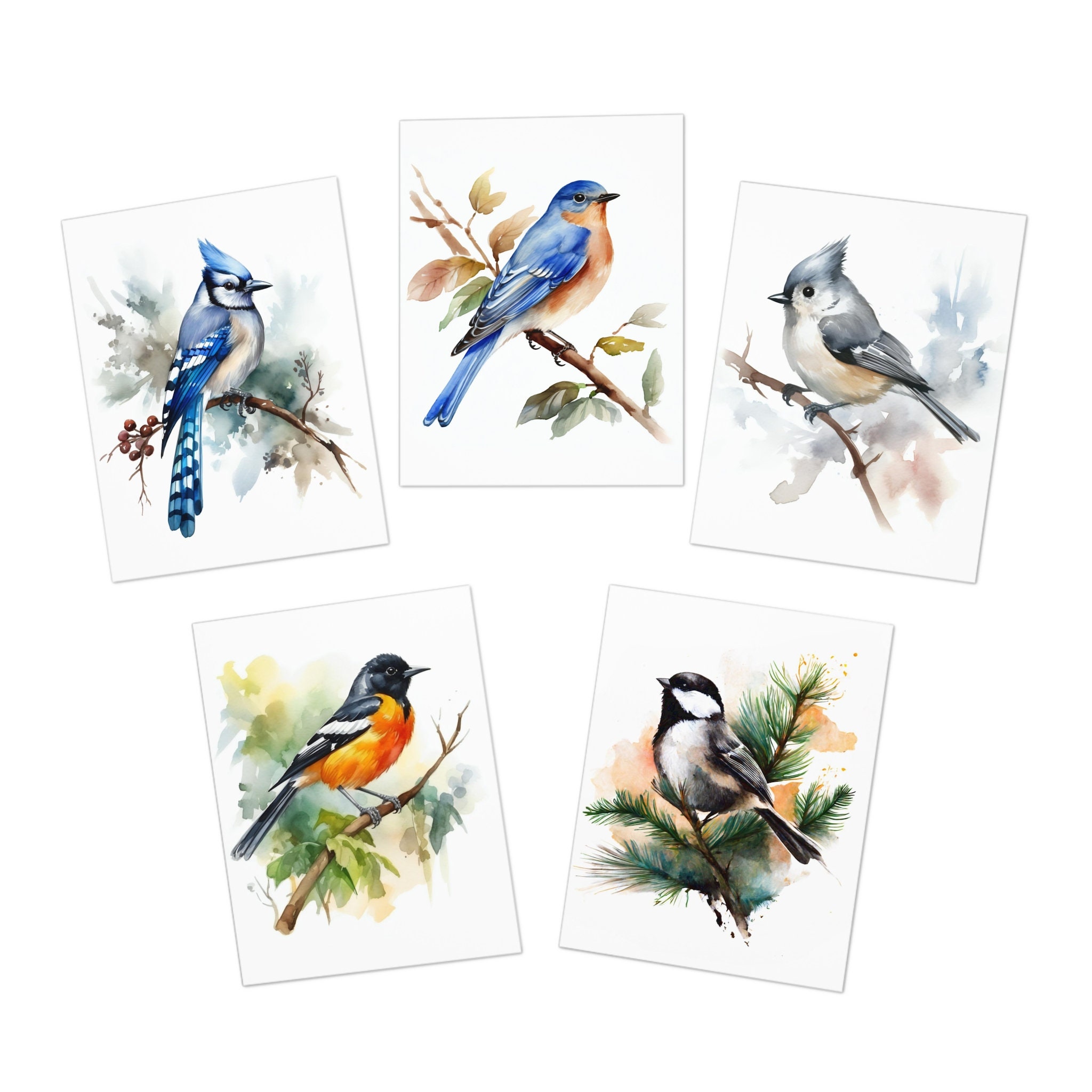 Watercolor Northeastern Birds Greeting Cards 5-pack, Backyard Birds ...