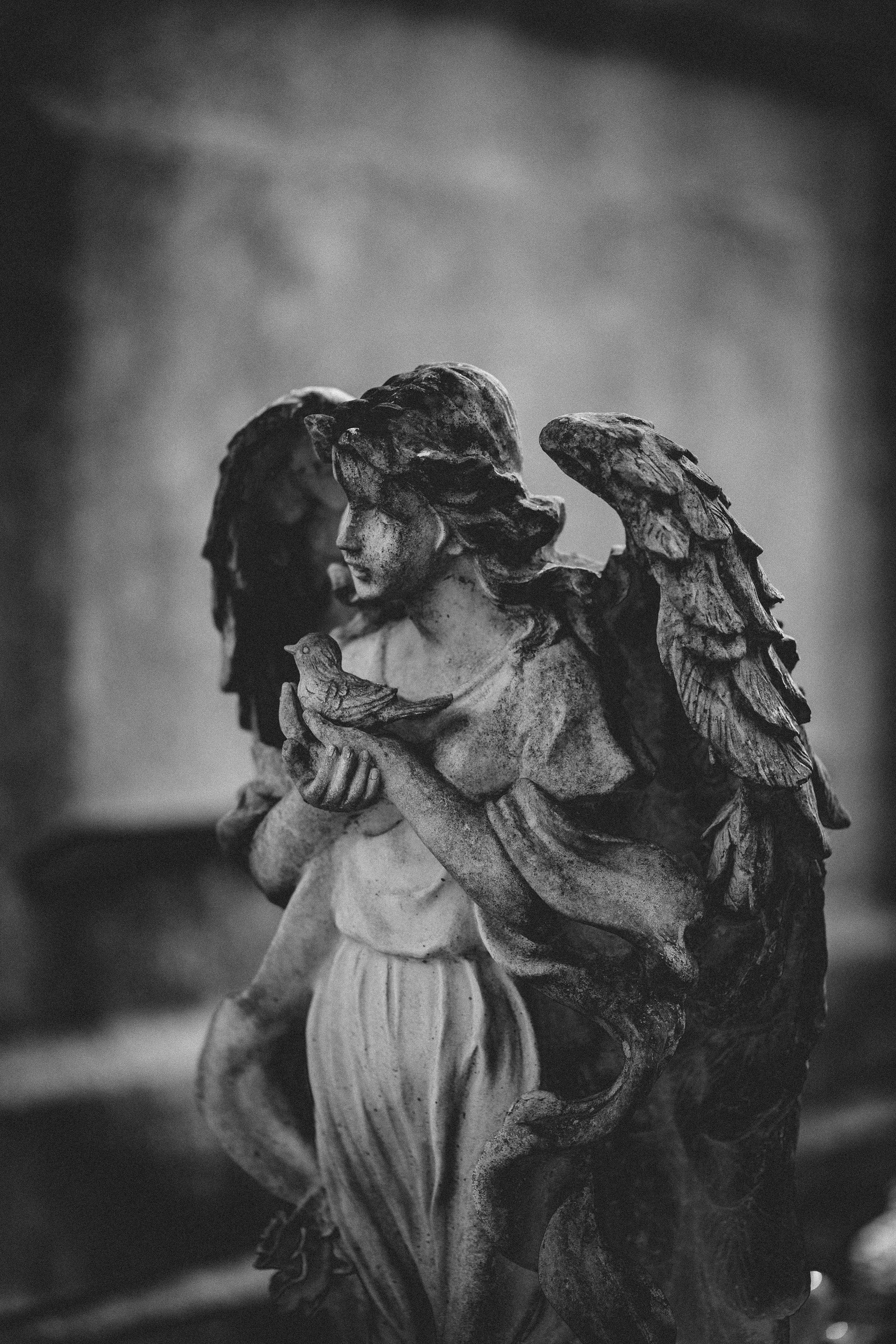 Angel Statue Photography