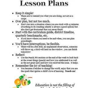 Peach Themed Lesson Planner - Etsy