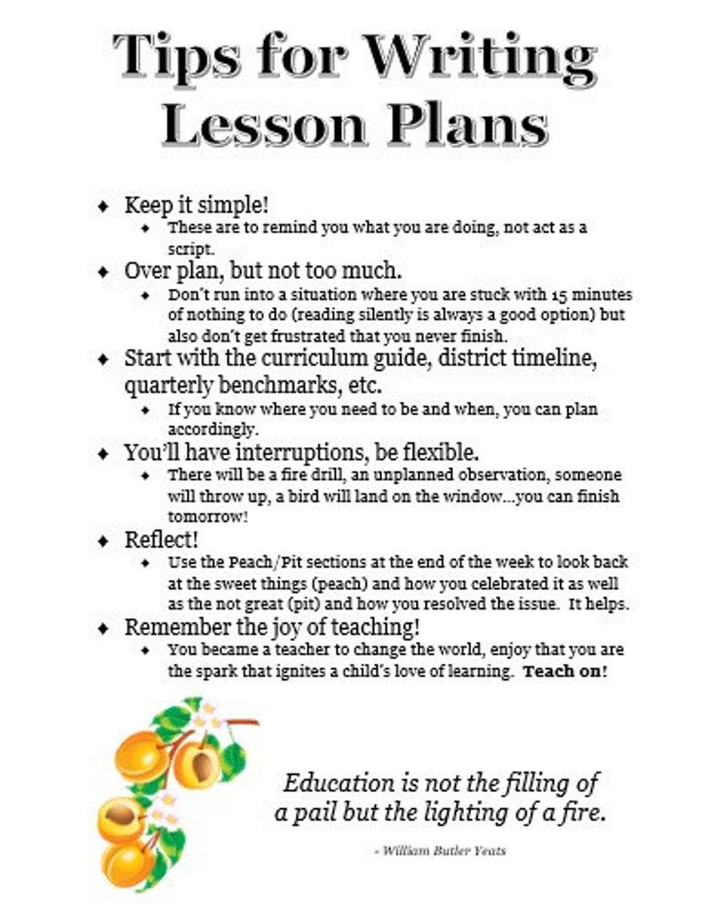 Peach Themed Lesson Planner - Etsy