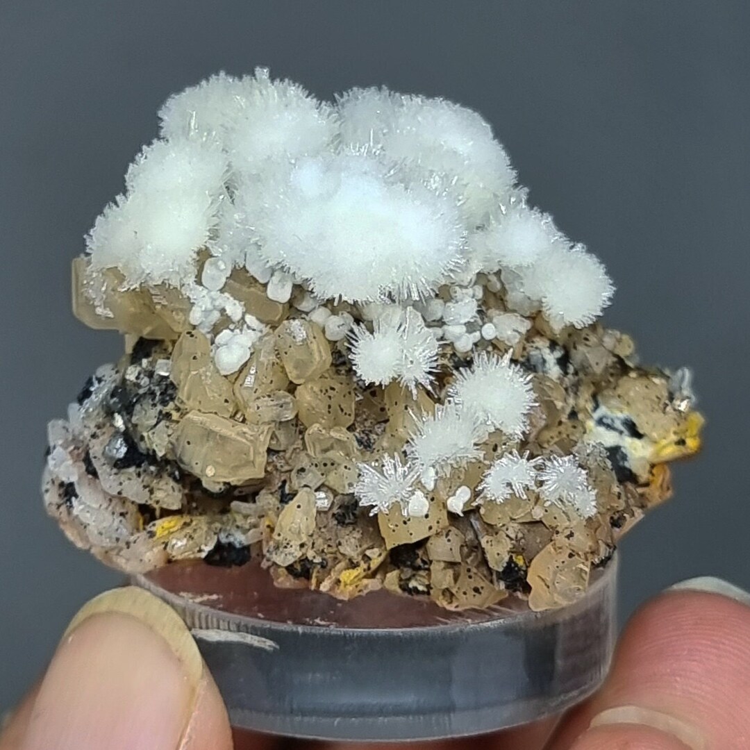 Special Cerussite Combo Normal and Fibrous Crystals With Barite and ...