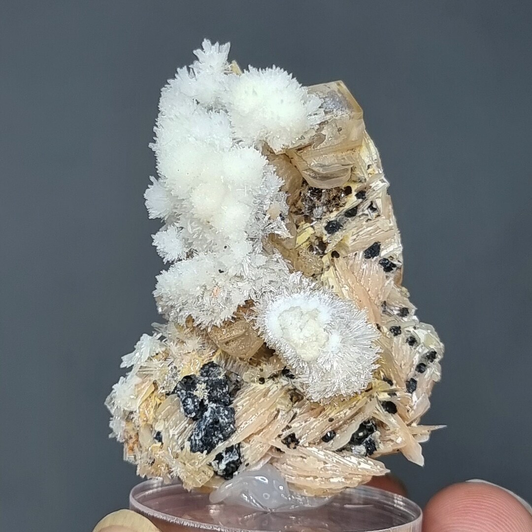 Special Cerussite Combo Normal and Fibrous Crystals With Barite and ...