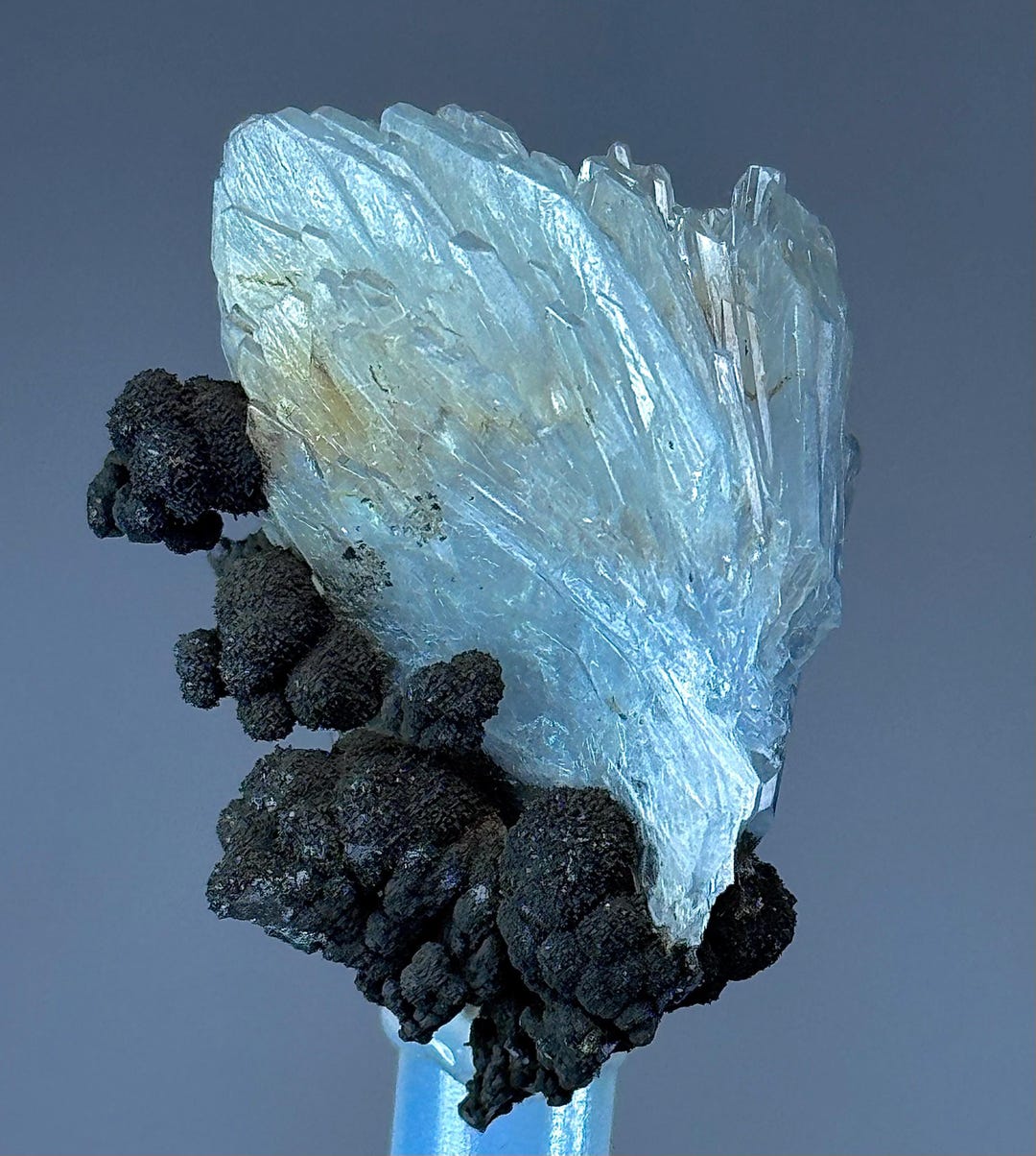 Blue Sky Barite With Geotite in Perfect Conditions - Etsy