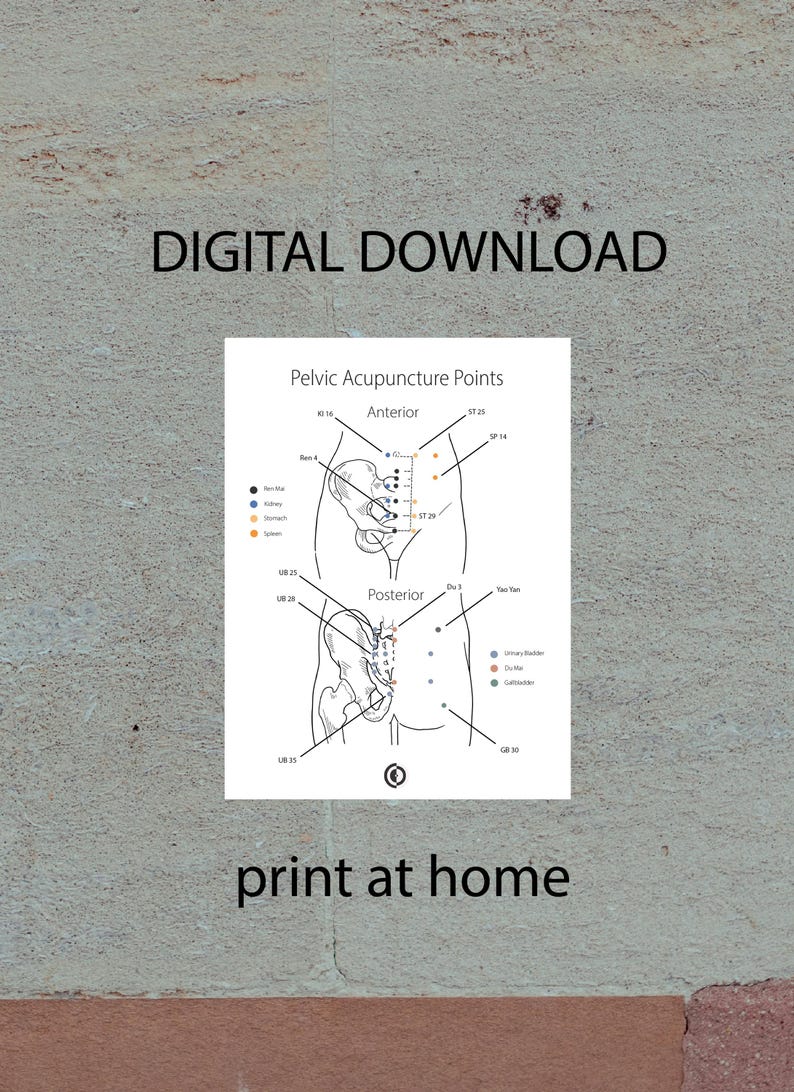 Pelvic Acupuncture Chart - Etsy