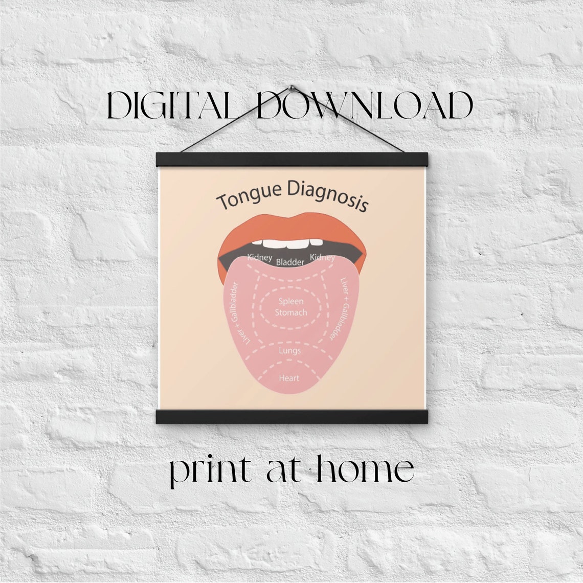 Tongue Chart PNG - Etsy