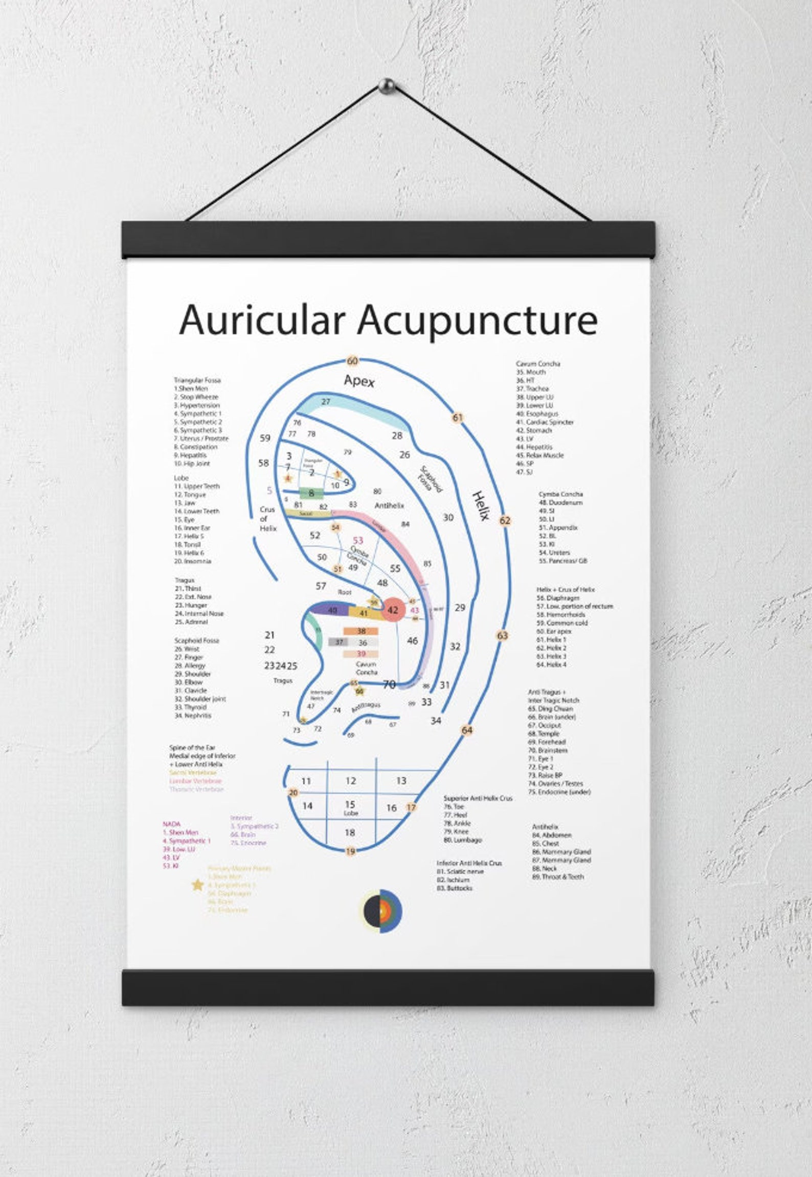 Auricular Acupuncture Chart PDF - Etsy