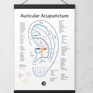 Auricular Acupuncture Chart PDF - Etsy