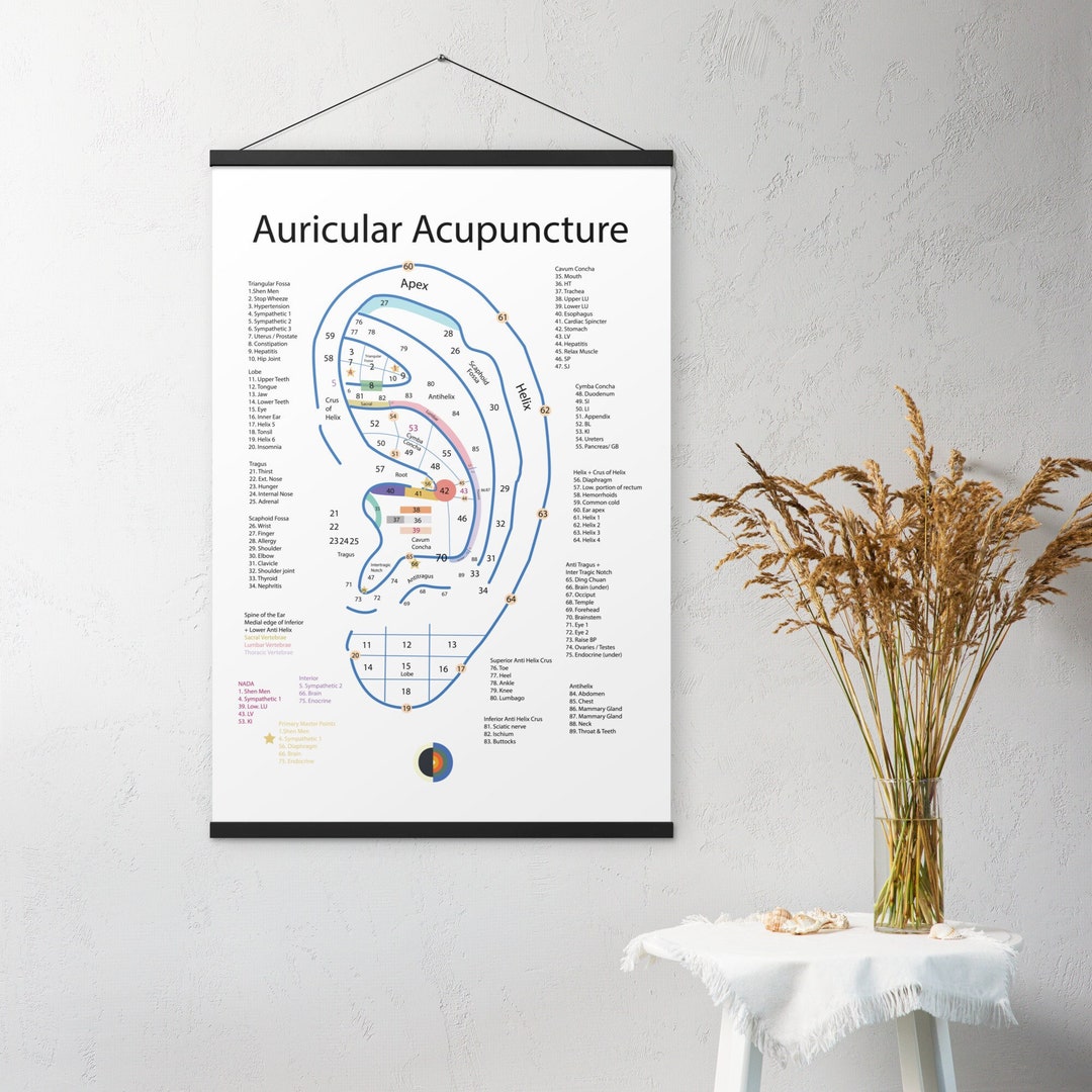 Auricular Acupuncture Chart With Hanger - Etsy