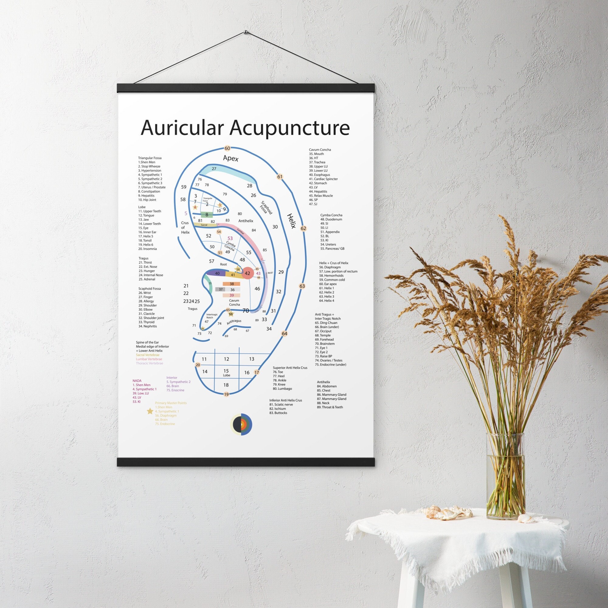 Auricular Acupuncture Chart With Hanger - Etsy
