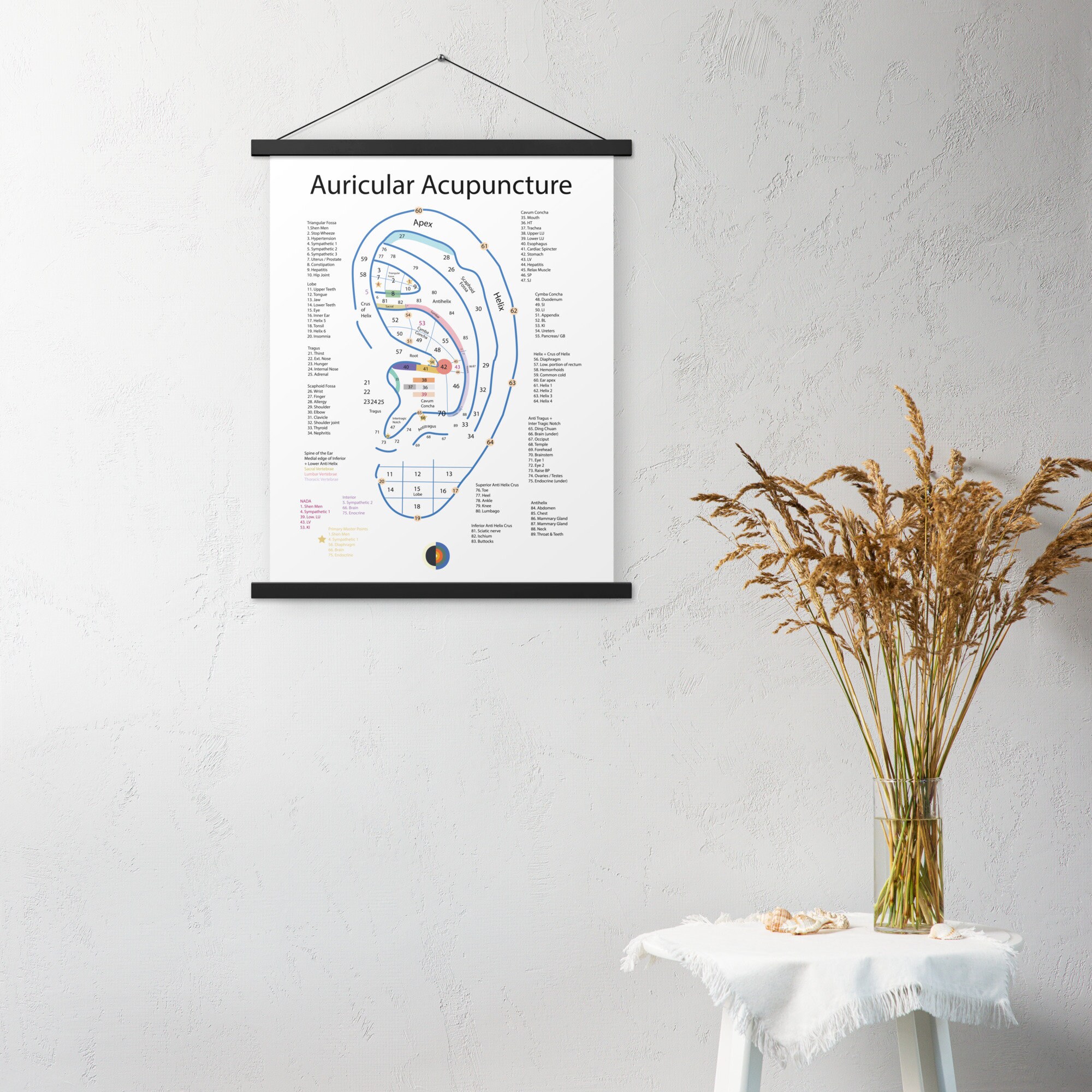 Auricular Acupuncture Chart With Hanger - Etsy