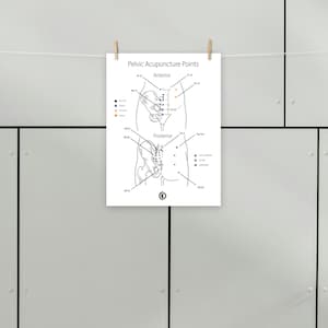Pelvic Acupuncture Chart - Etsy