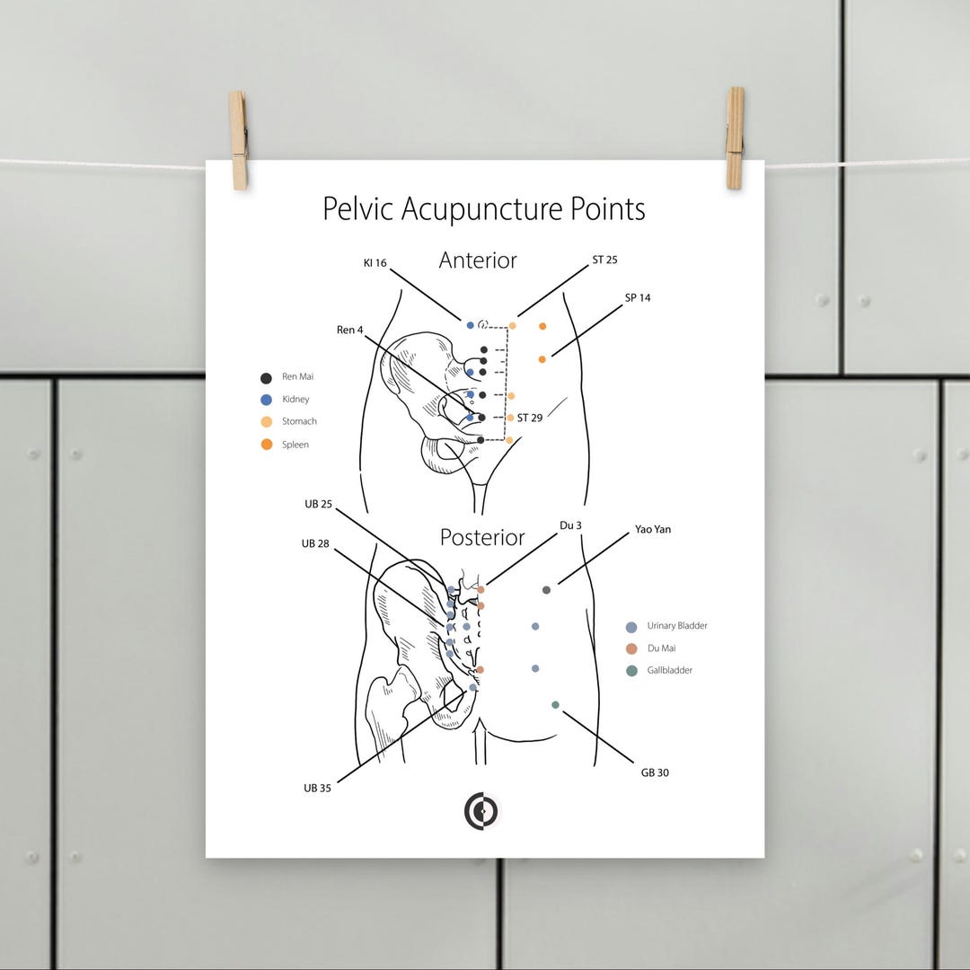 Pelvic Acupuncture Chart - Etsy