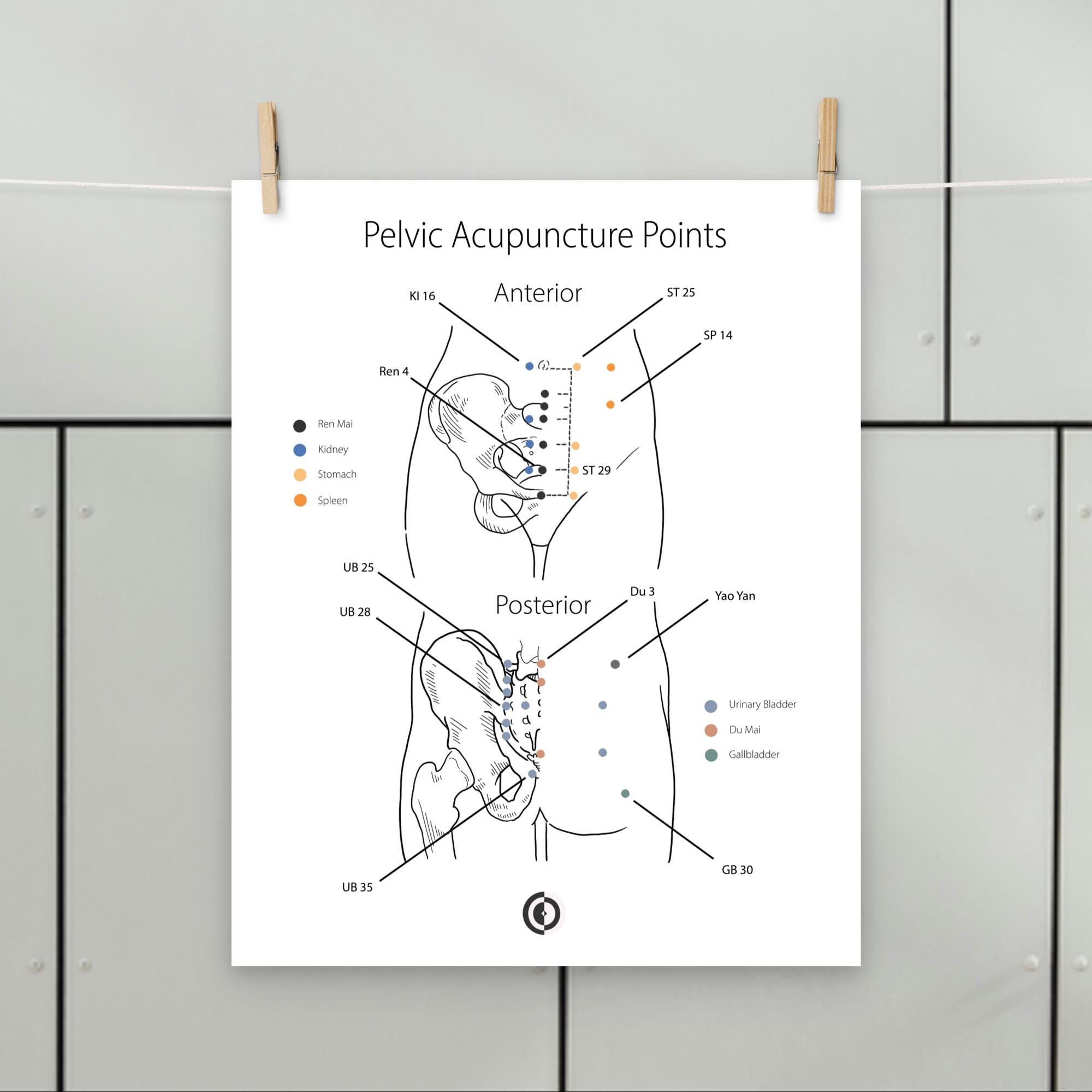 Pelvic Acupuncture Chart - Etsy