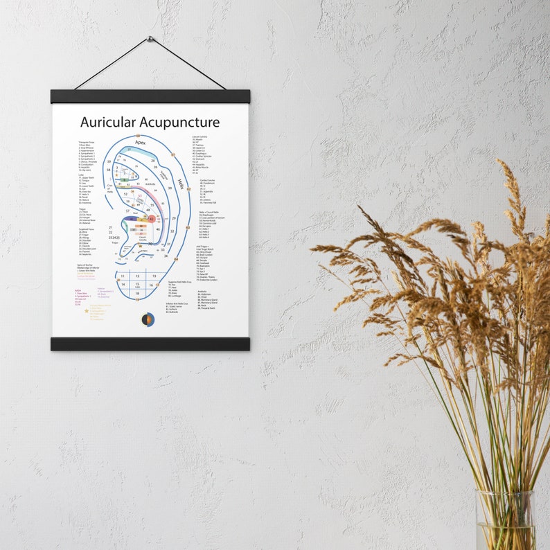 Auricular Acupuncture Chart With Hanger - Etsy