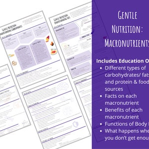 Eating Disorder Client Education Bundle for Dietitians/ Rds printable ...