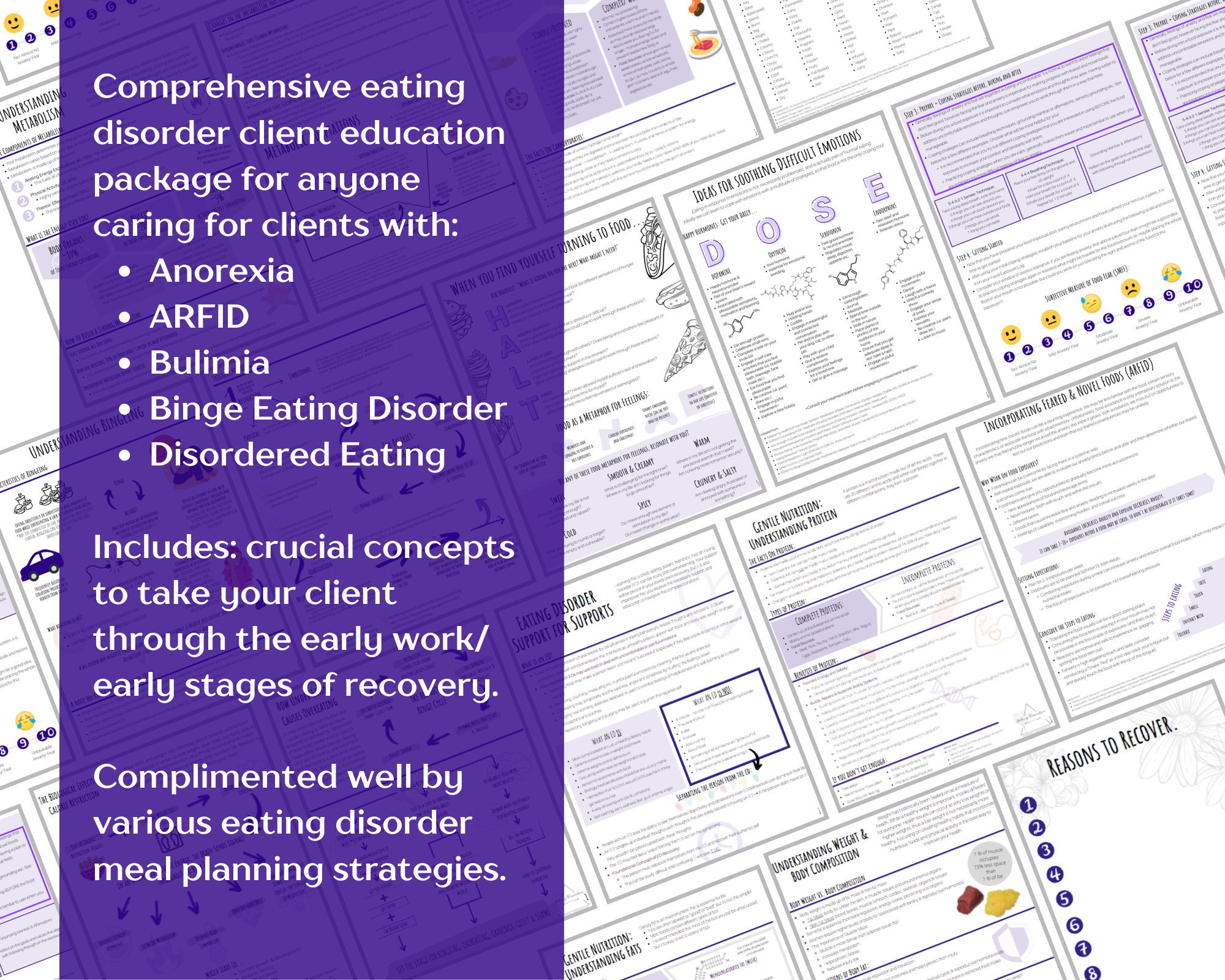 Eating Disorder Client Education Bundle for Dietitians/ Rds printable ...